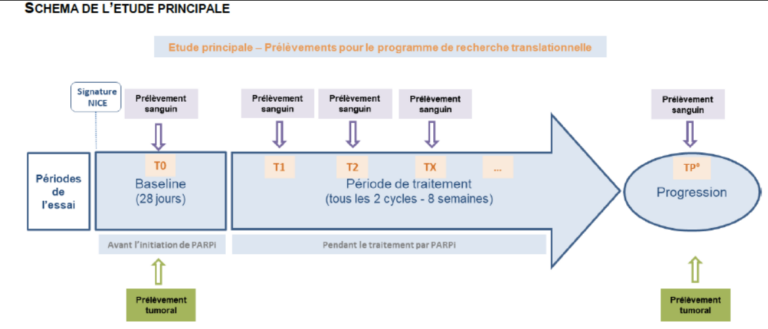 Répertoire des Essais Cliniques en Cancérologie | OncoPaca-Corse